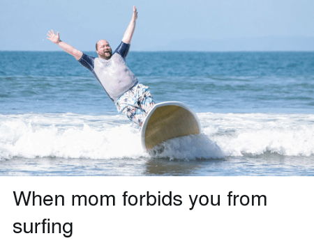 8 Memes that Illustrate a Typical Surfer Behavior