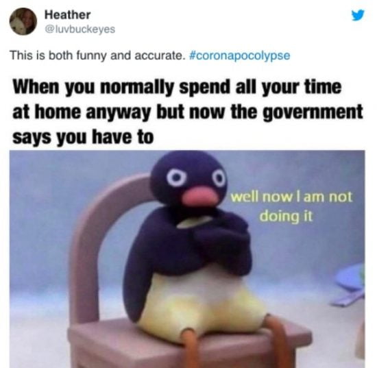 11 Memes that Truly Depict the Reality of Home Quarantine during a ...