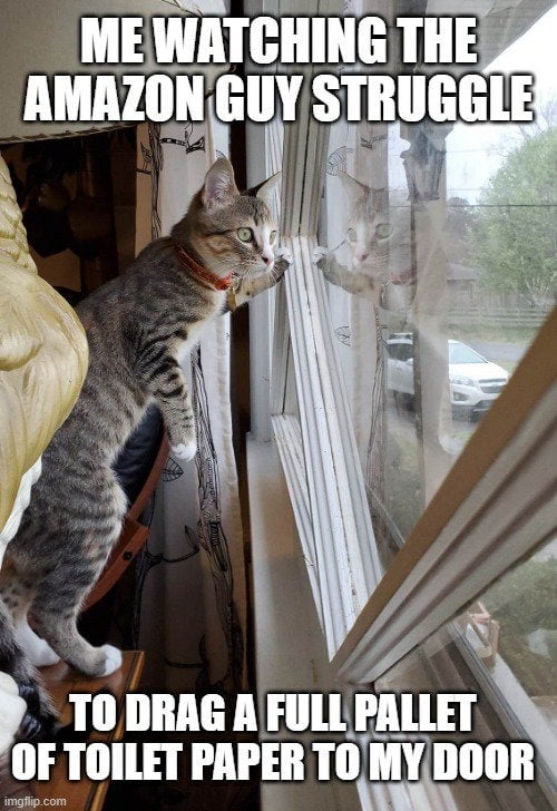 11 Memes that Truly Depict the Reality of Home Quarantine during a ...