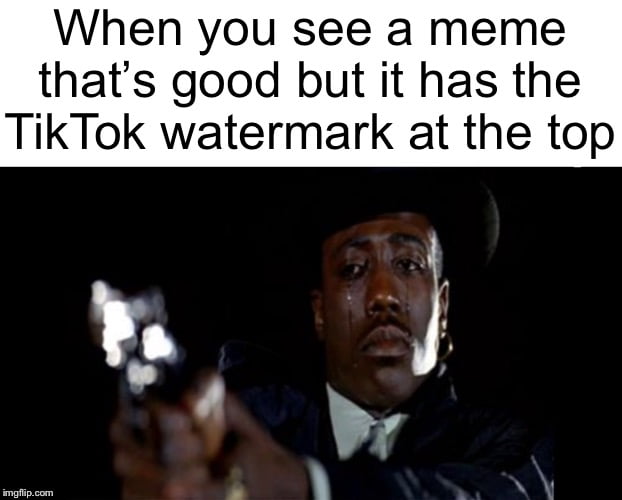 12 Hilarious TikTok Memes to Laugh at during the COVID-19 Lockdown