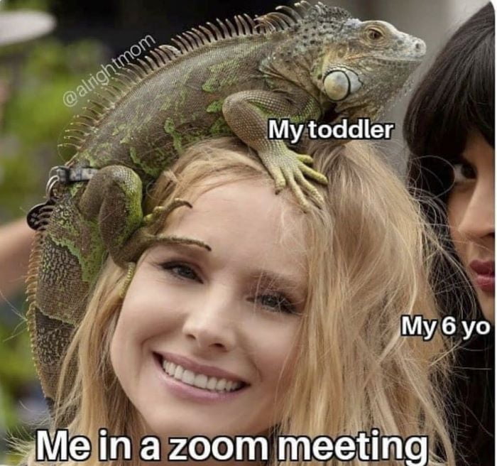 10 Funny and Legit Video Conferencing Memes For Every Employee
