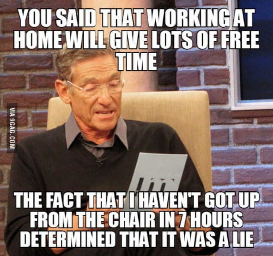 20 Best Work From Home Memes that are Hilariously Accurate!