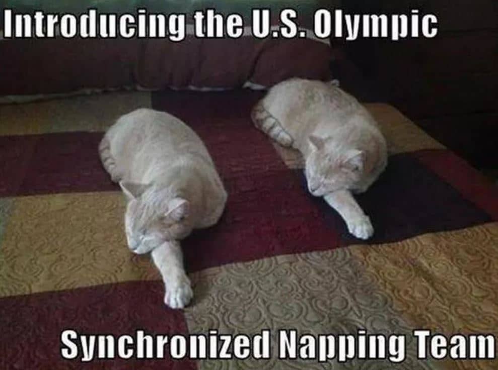 Hilarious Olympics Memes - Top Funny Tokyo Olympics Moments