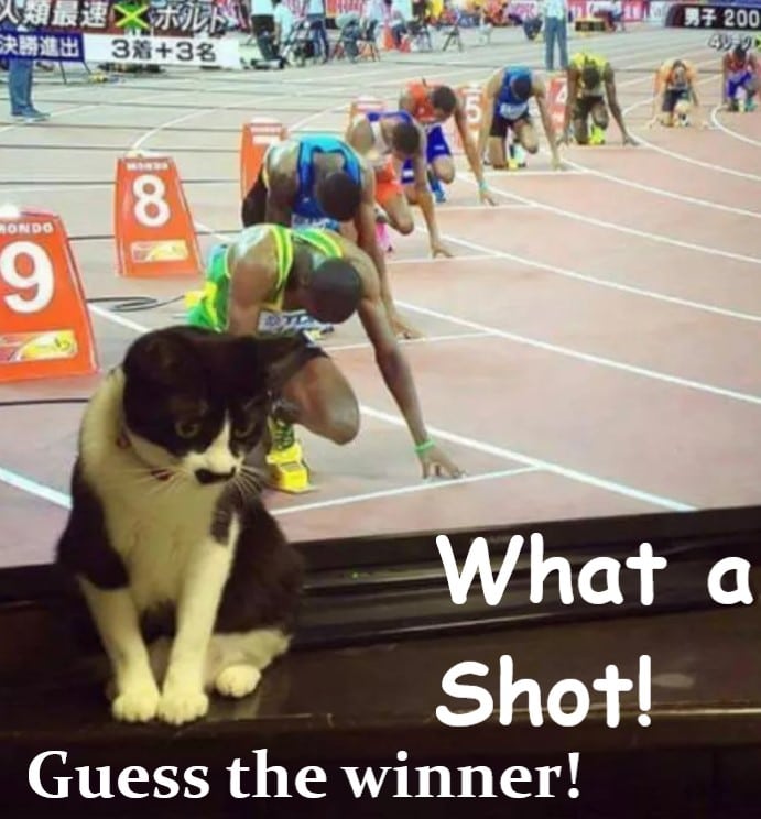 Hilarious Olympics Memes - Top Funny Tokyo Olympics Moments