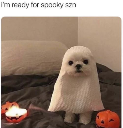 15 spooky October Halloween memes - Trick or Treat