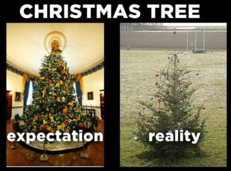 15 Christmas decoration memes - Giggle & jingle all the way