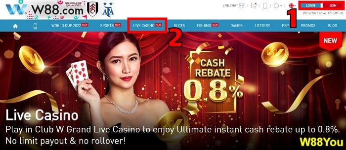 How to play Dragon Tiger online casino game with RM01 at W88